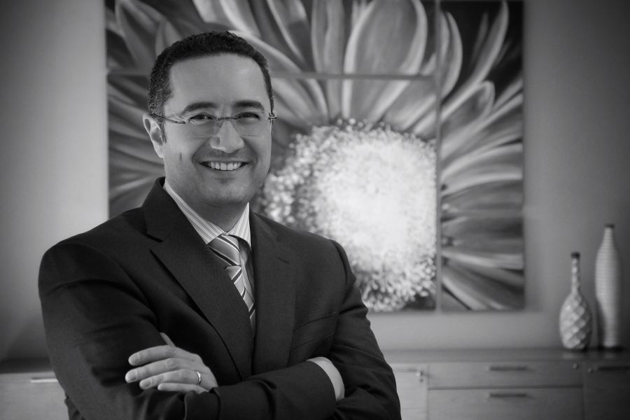 Gerbera : Venture Capital / Asset Management / Real Estate